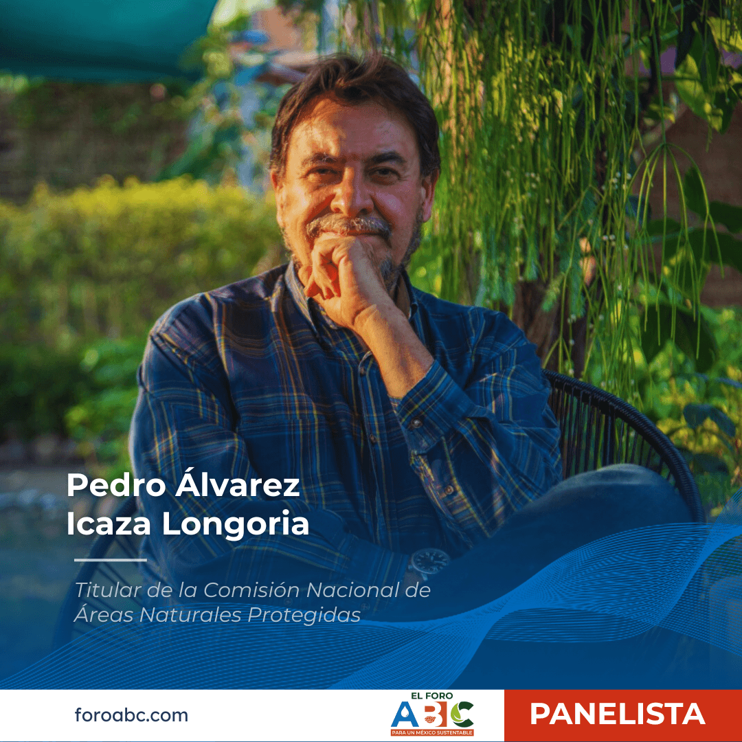 Pedro Álvarez Icaza Longoria - Foro ABC