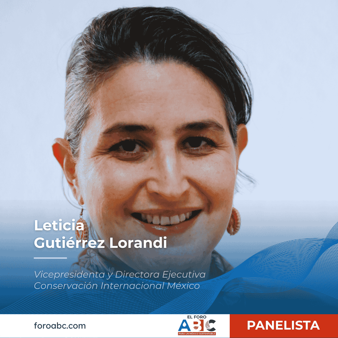 Leticia Gutiérrez Lorandi
